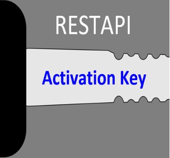 hIOmon REST API Activation Key . hIOmon Software and Services from ...